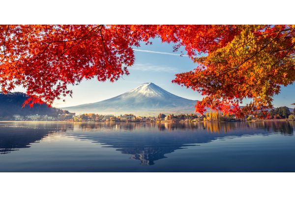 Rejser til Tokyo - Rejs til Japans hovedstad her - OurWorld